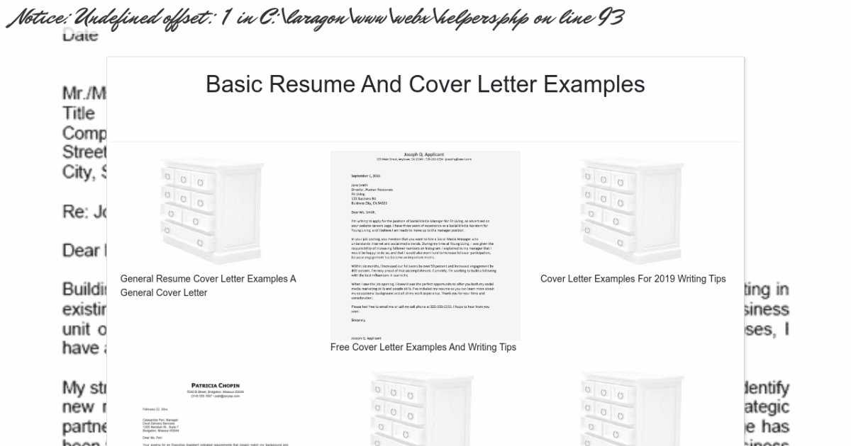Basic Resume And Cover Letter Examples