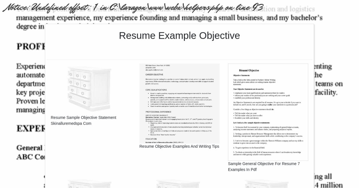 Resume Example Objective