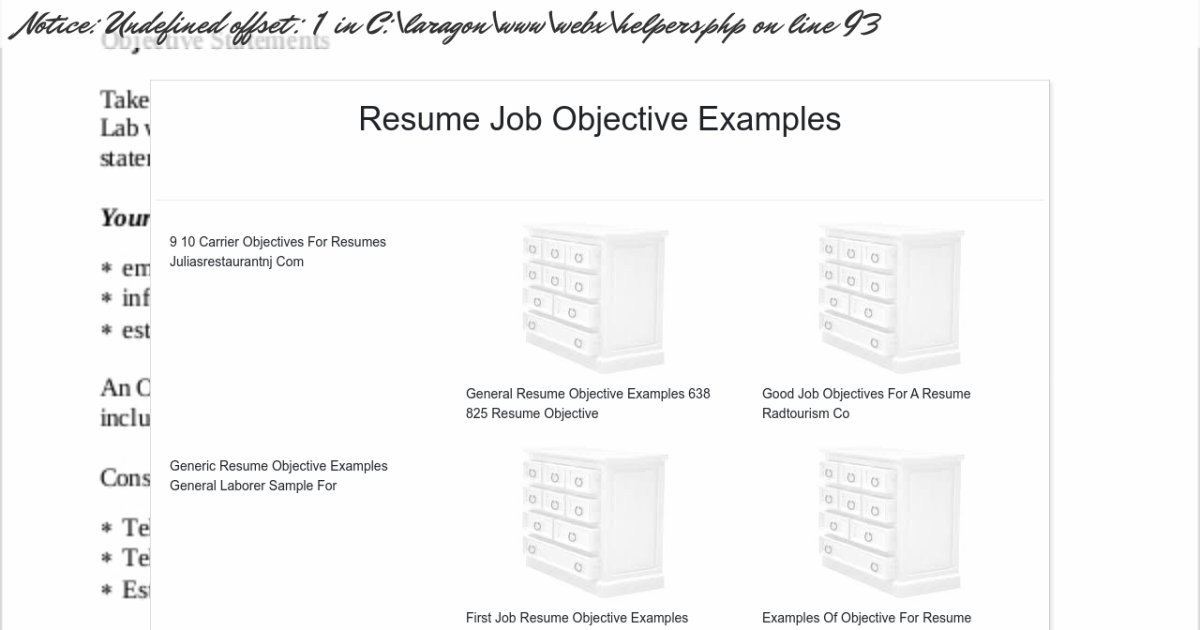 Job Objective Statement