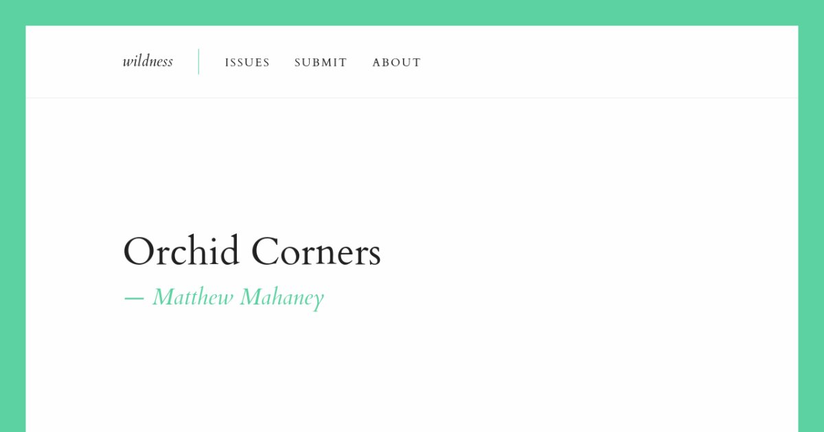 Orchid Corners, by Matthew Mahaney | wildness