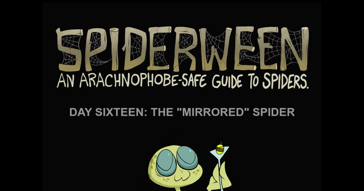SPIDERWEEN: An Arachnophobe-Safe Guide to Spiders