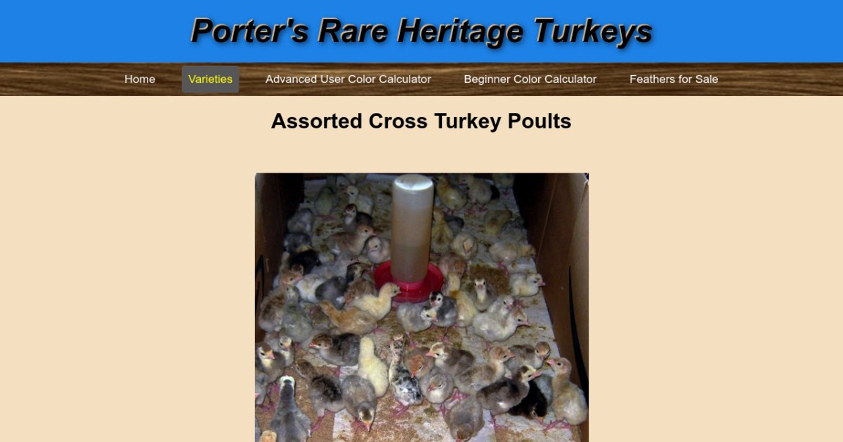 Breeder's Choice Assorted Crosses - Porter's Rare Heritage Turkeys
