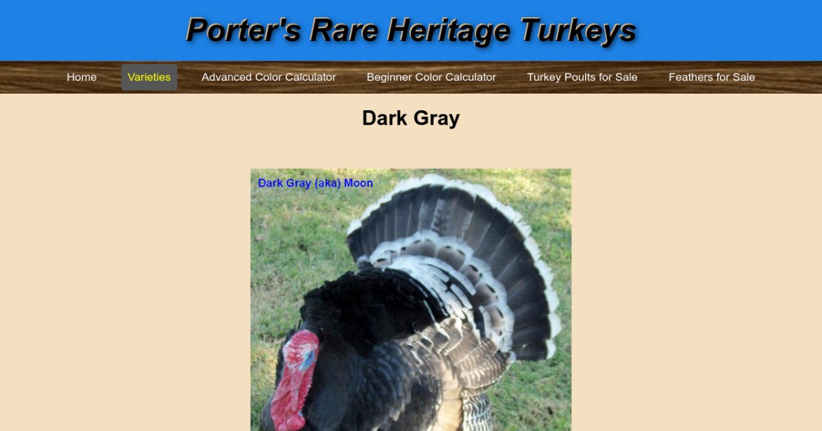 Dark Gray - Porter's Rare Heritage Turkeys