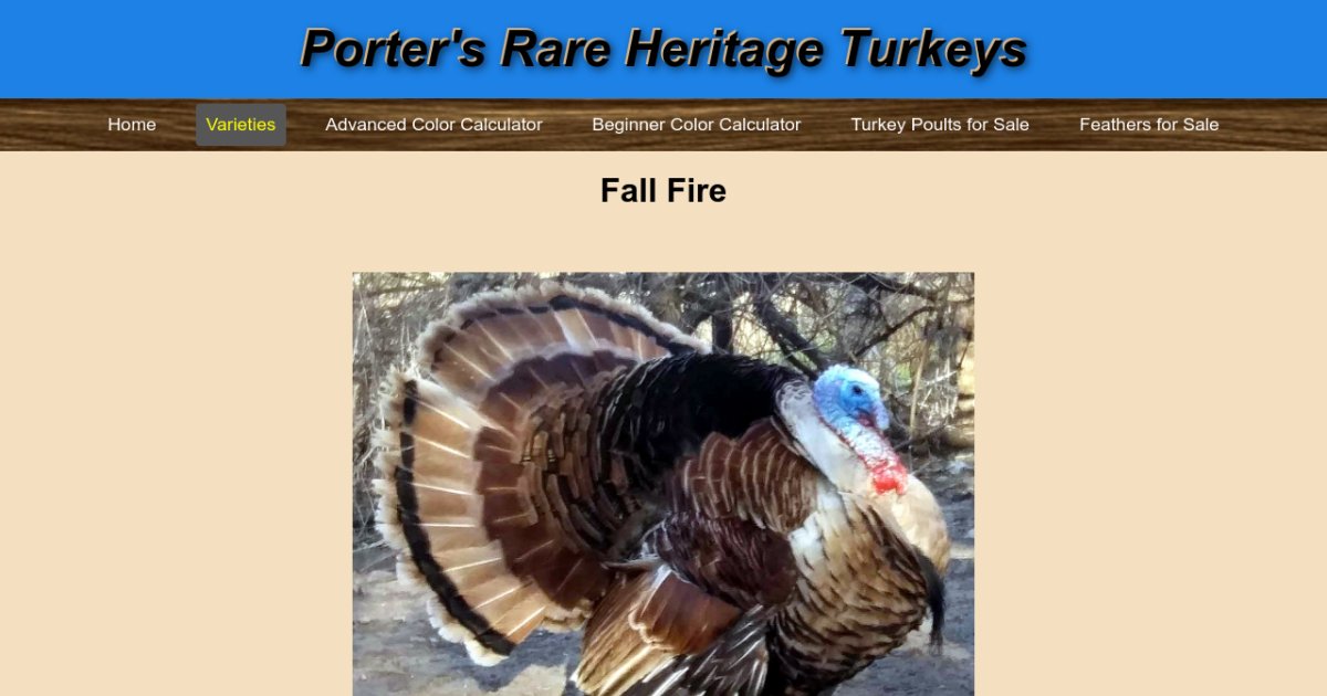 Fall Fire - Porter's Rare Heritage Turkeys