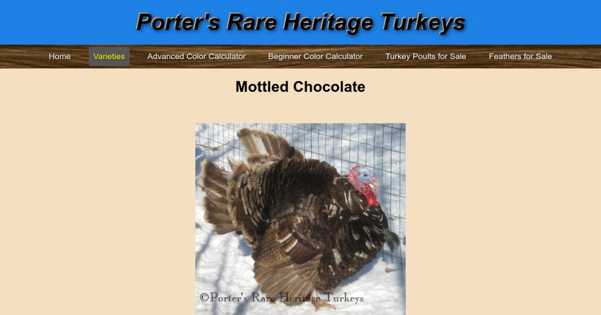 Mottled Chocolate - Porter's Rare Heritage Turkeys