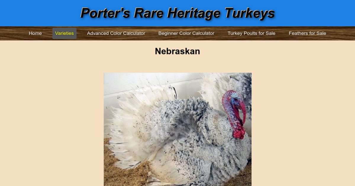 Nebraskan - Porter's Rare Heritage Turkeys