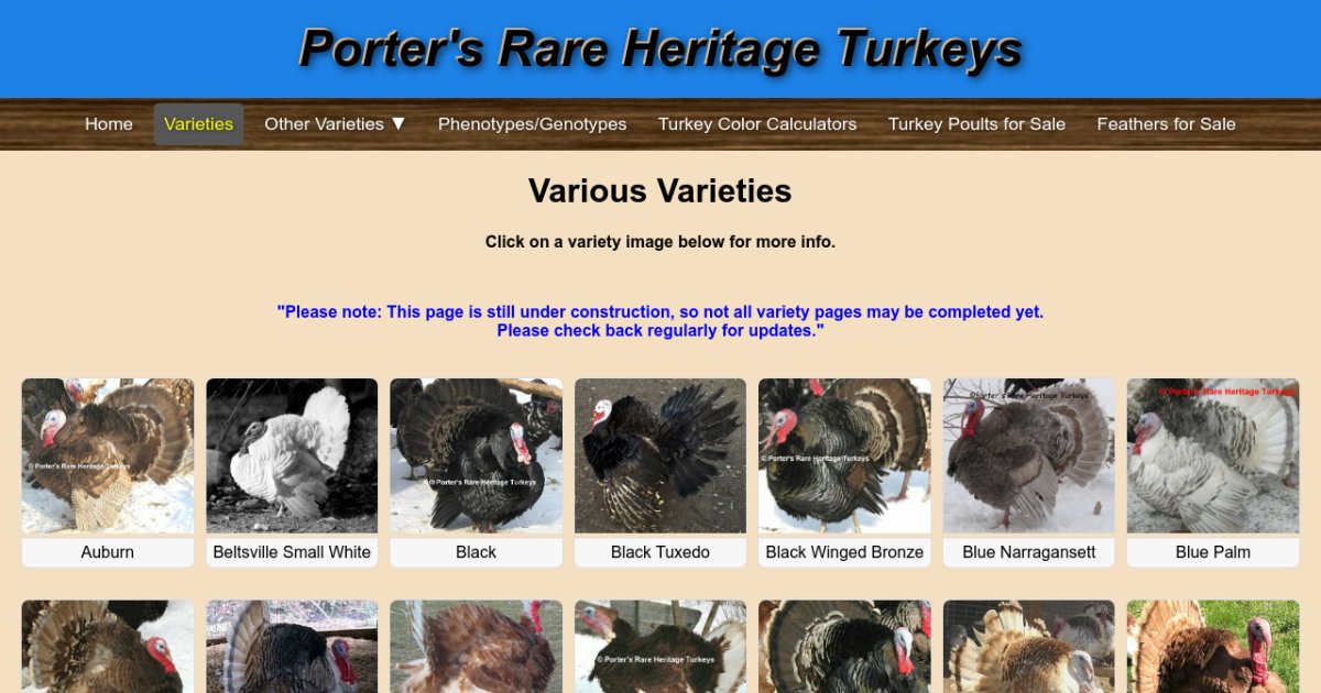 Varieties - Porter's Rare Heritage Turkeys