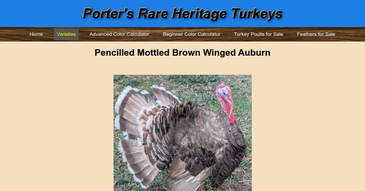 Pencilled Mottled Black Winged Bronze - Porter's Rare Heritage Turkeys