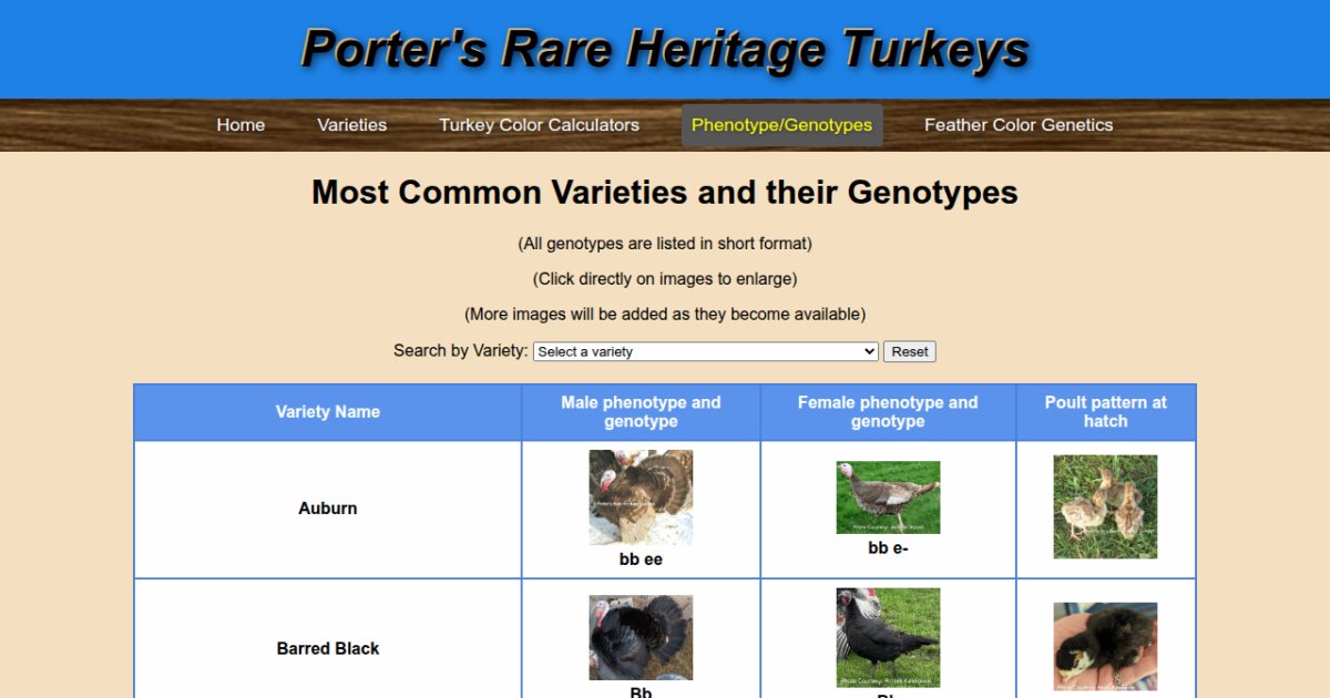 Heritage Turkey Varieties and Genotypes - Porter's Rare Heritage Turkeys
