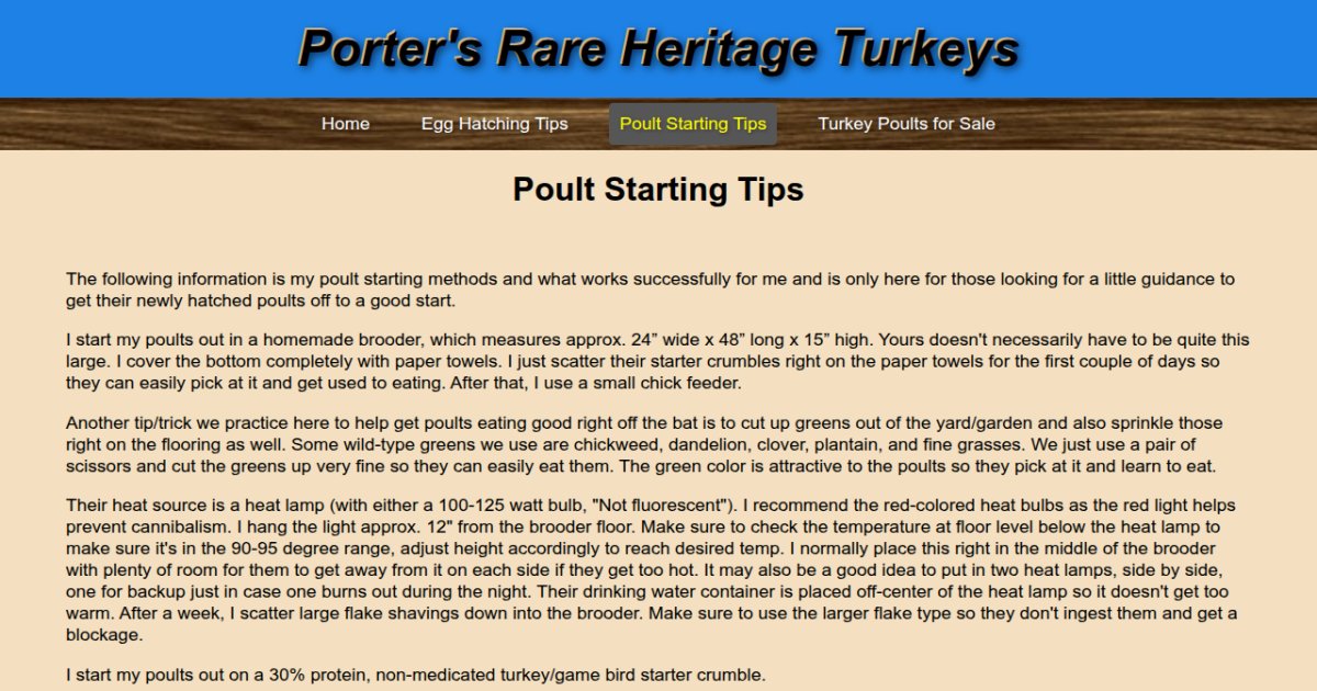 Poult Starting Tips - Porter's Rare Heritage Turkeys