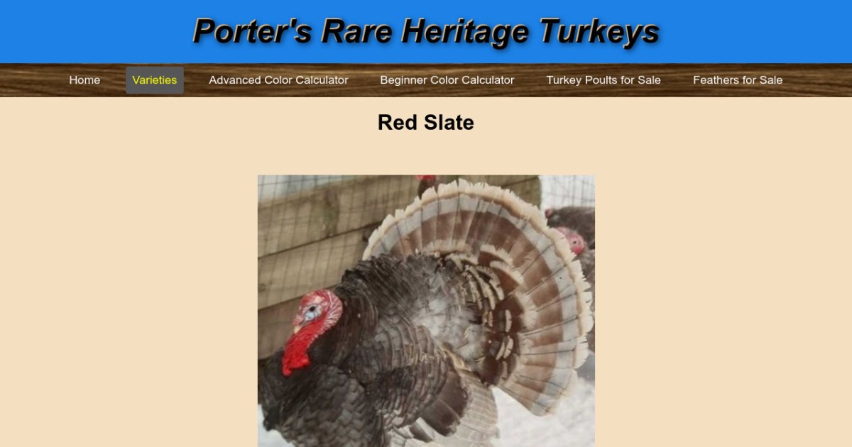 Red Slate - Porter's Rare Heritage Turkeys