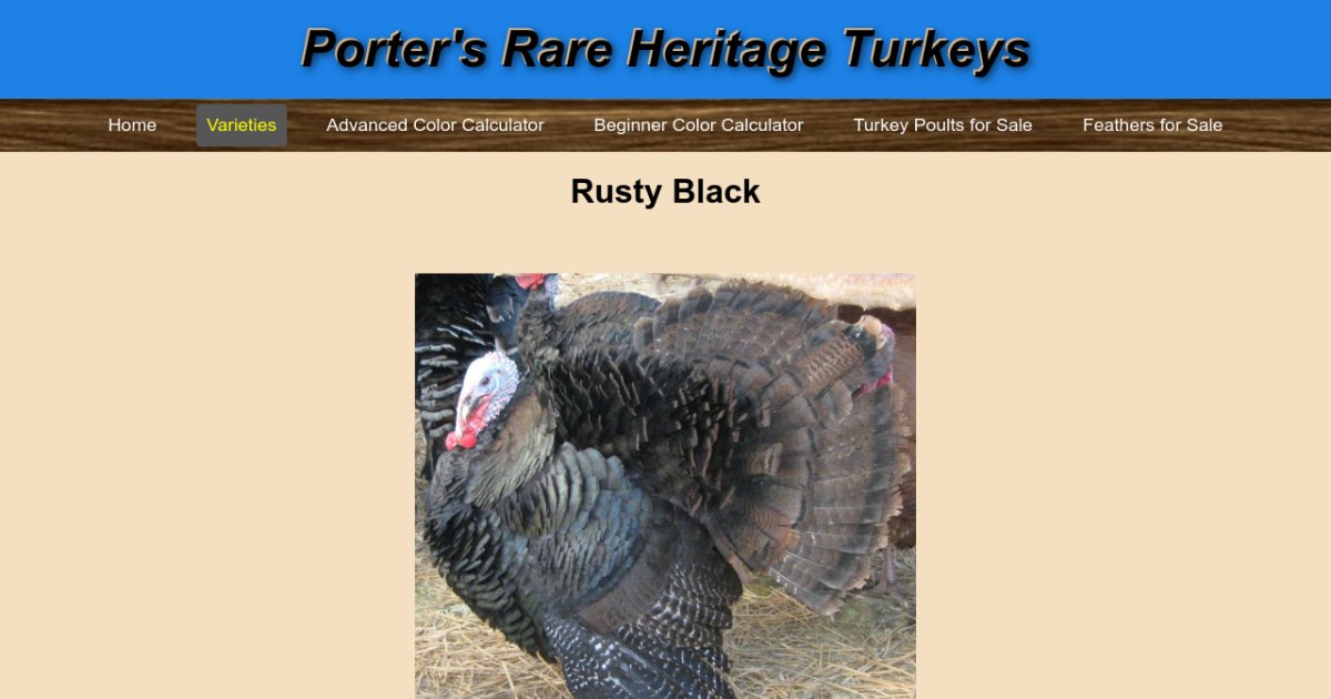 Rusty Black - Porter's Rare Heritage Turkeys