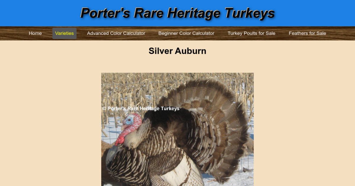 Silver Auburn - Porter's Rare Heritage Turkeys