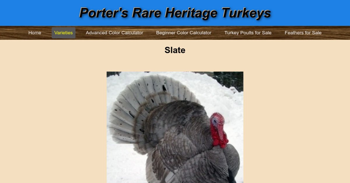 Slate - Porter's Rare Heritage Turkeys