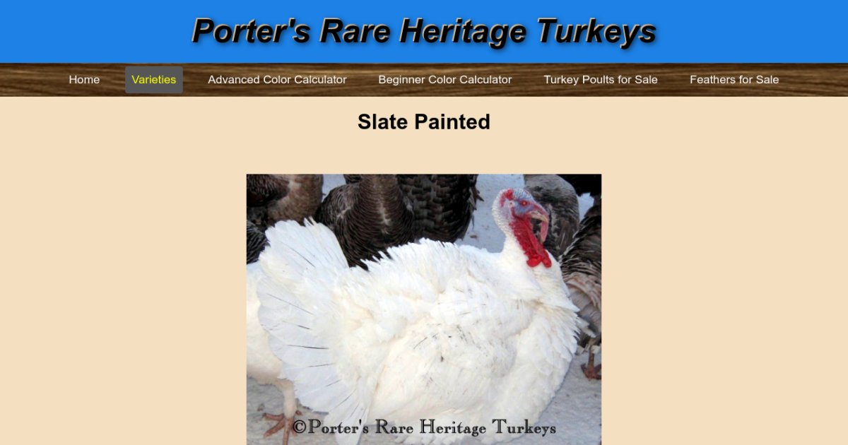 Slate Painted - Porter's Rare Heritage Turkeys