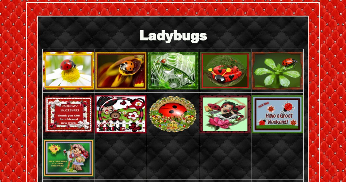 Ladybugs