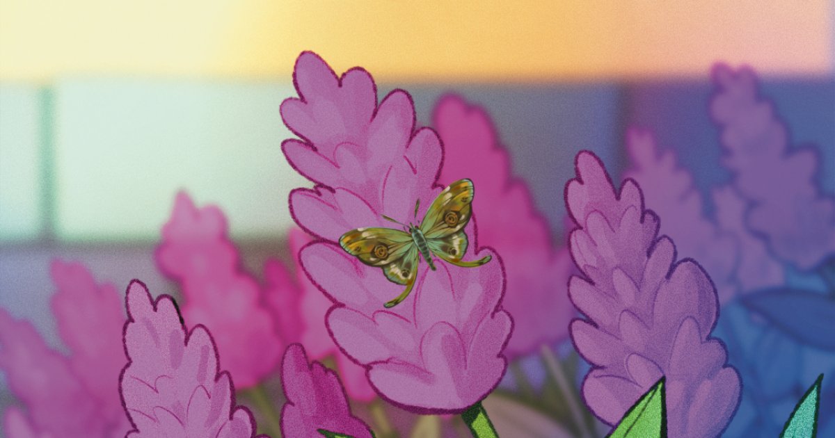 Sweet Lavender - Welcome Home